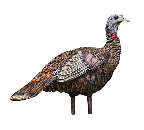 Collapsible Turkey Decoys | Lifelike Turkey Decoys By Avian-X