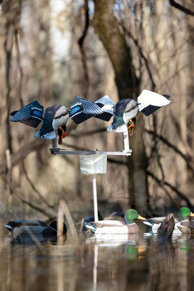 Powerflight Motion Stand