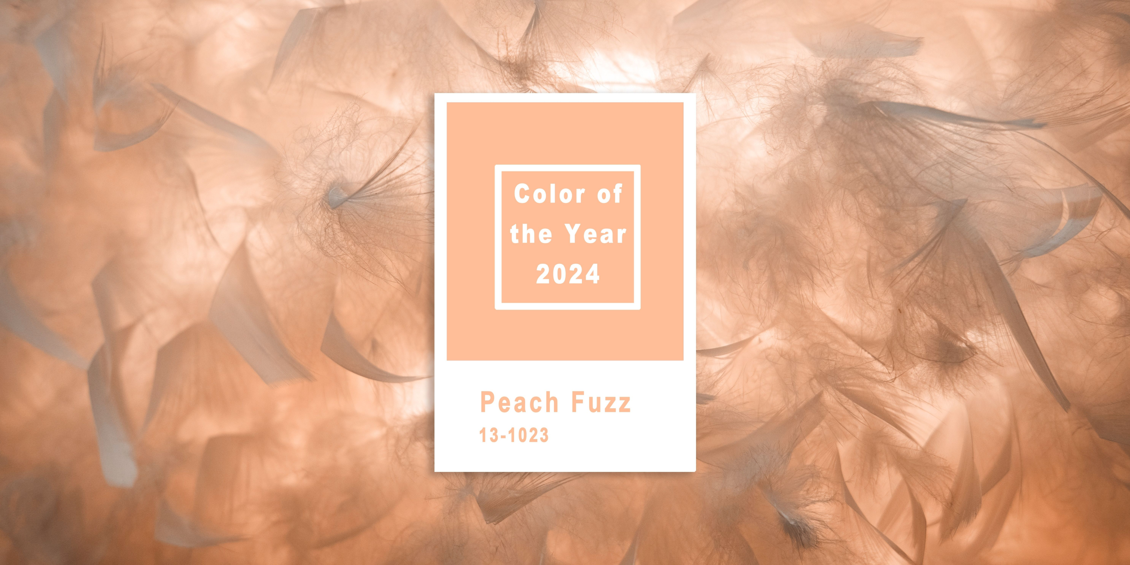 Embrace Cozy Elegance: Pantone's 2024 Color of the Year - Peach Fuzz ...