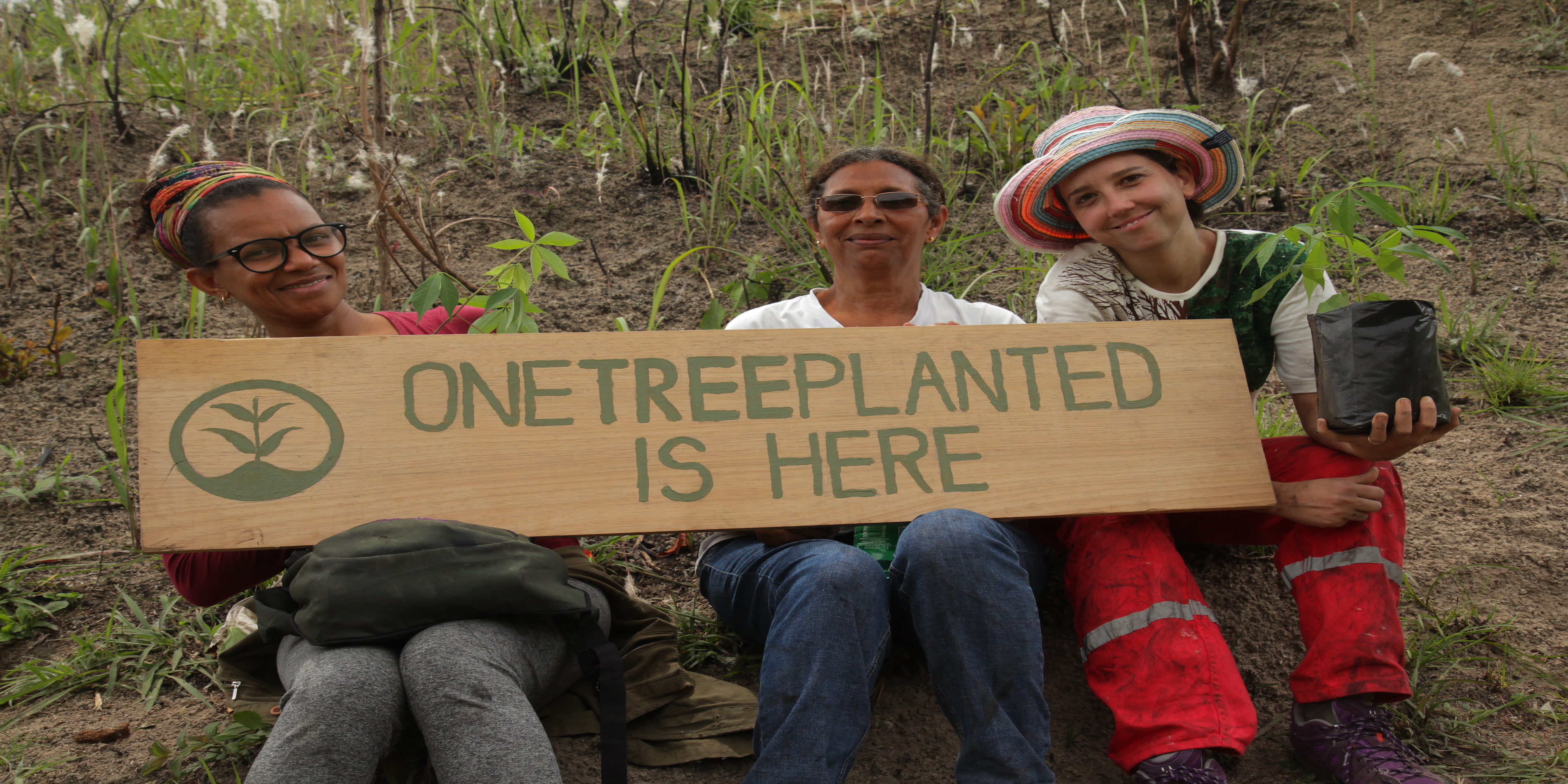 Celebrating Earth Day: Our Partnership with One Tree Planted ...