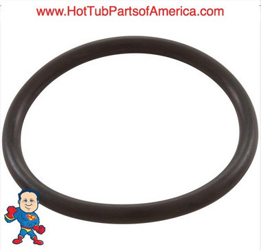 Diffuser O-Ring, Pentair Sta-Rite DuraGlas II,Pool Pump, 2-3/8" ID, 3/ ...
