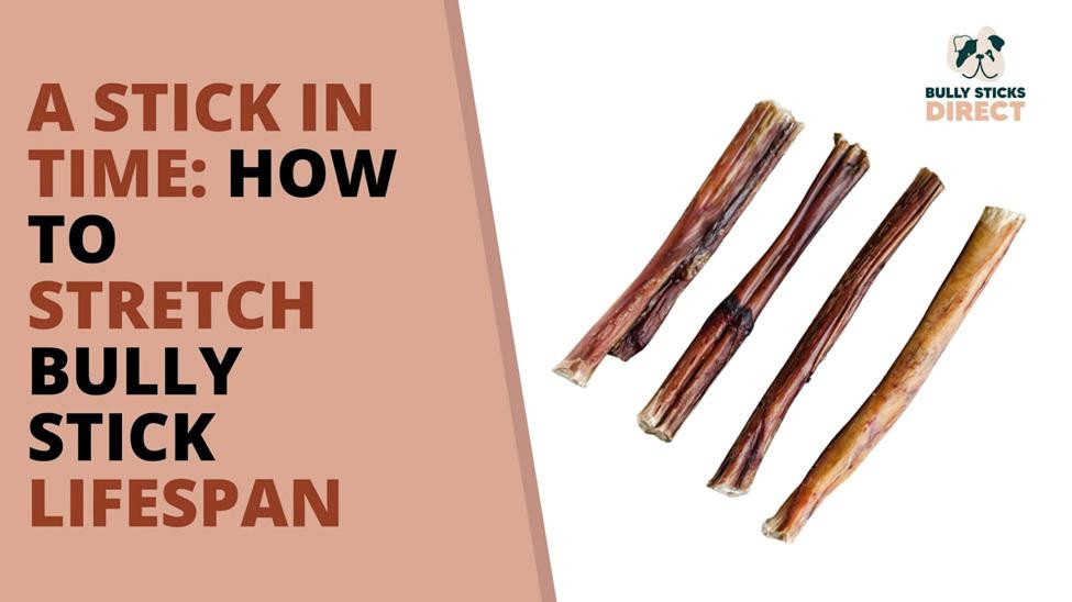A Stick in Time: How to Stretch Bully Stick Lifespan - Bully Sticks Direct
