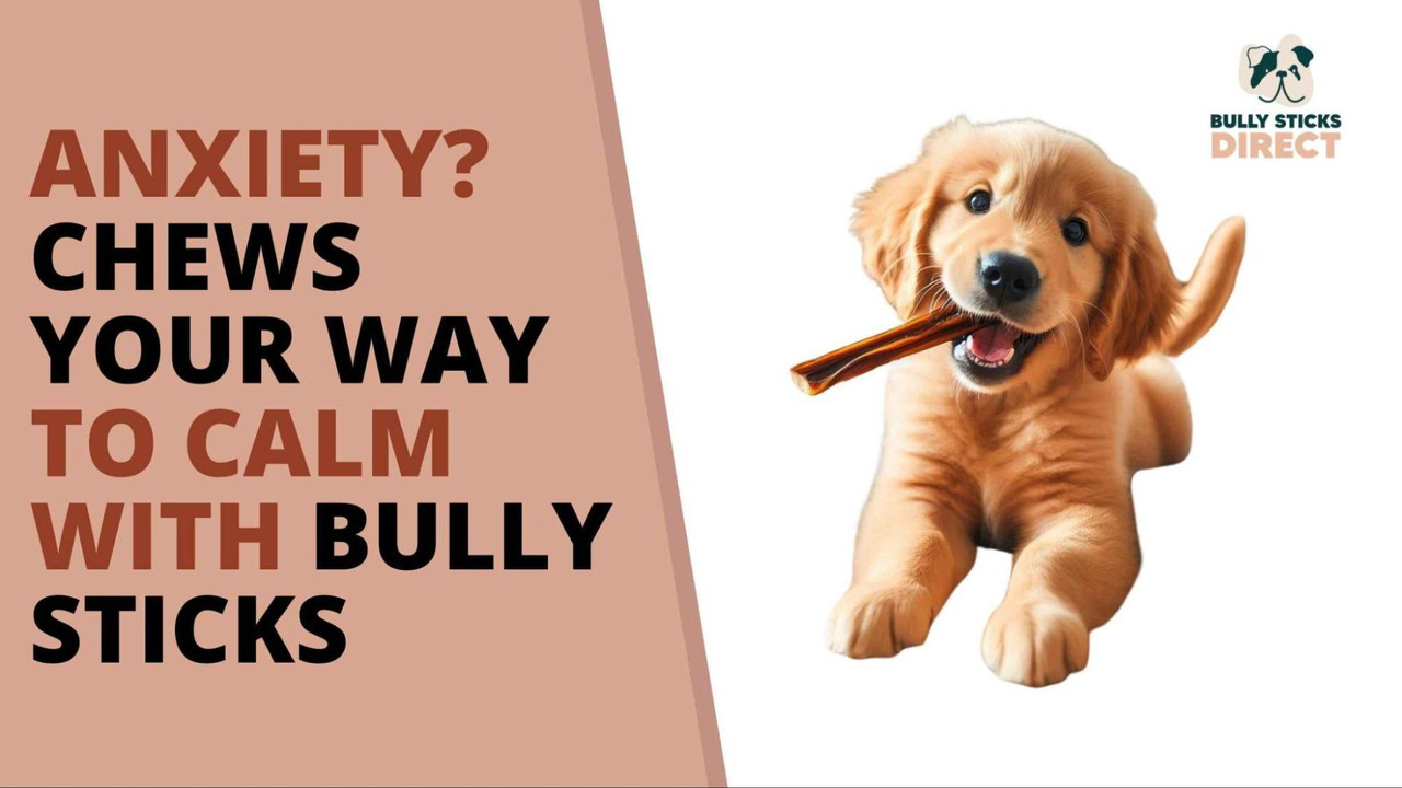 Anxiety? Chews Your Way to Calm with Bully Sticks - Bully Sticks Direct