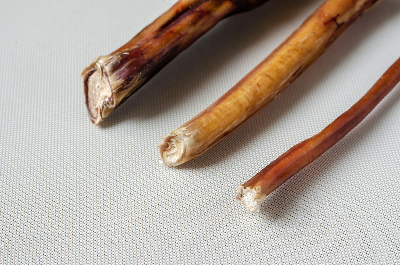 Why are they called bully sticks? - Bully Sticks Direct