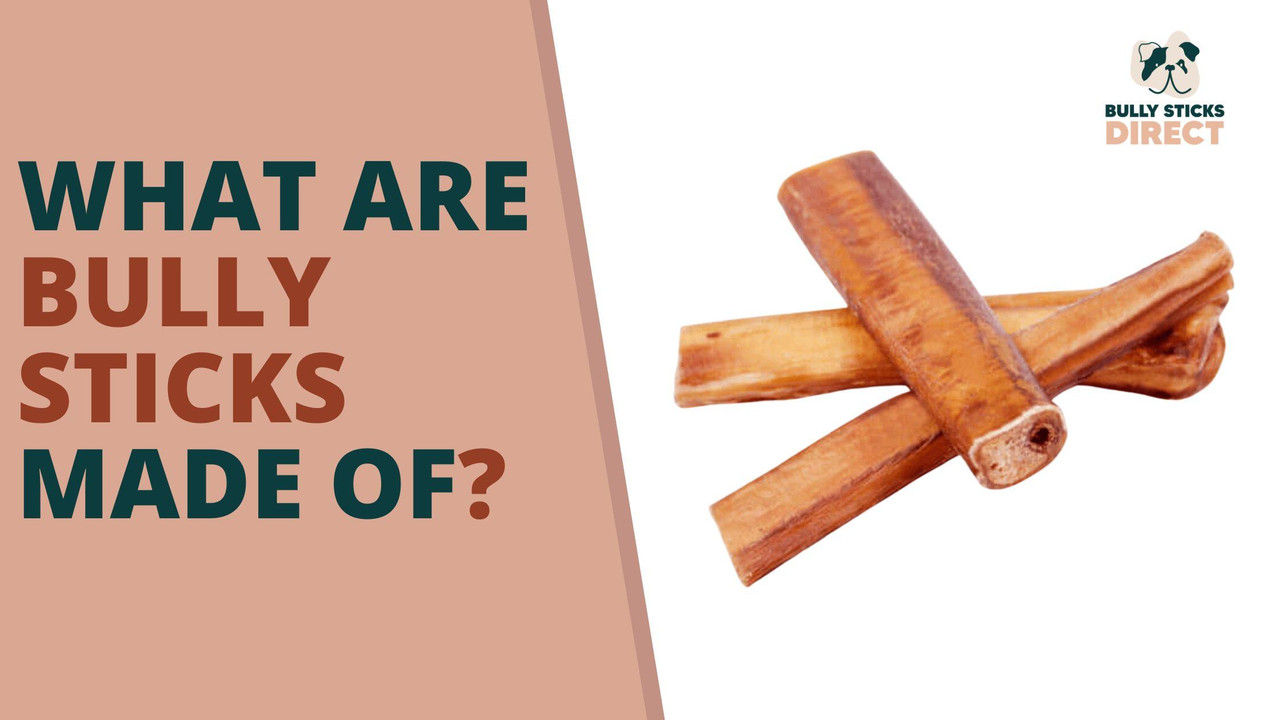 What Are Bully Sticks Made Of? Understanding Your Dog’s Favorite Chew ...