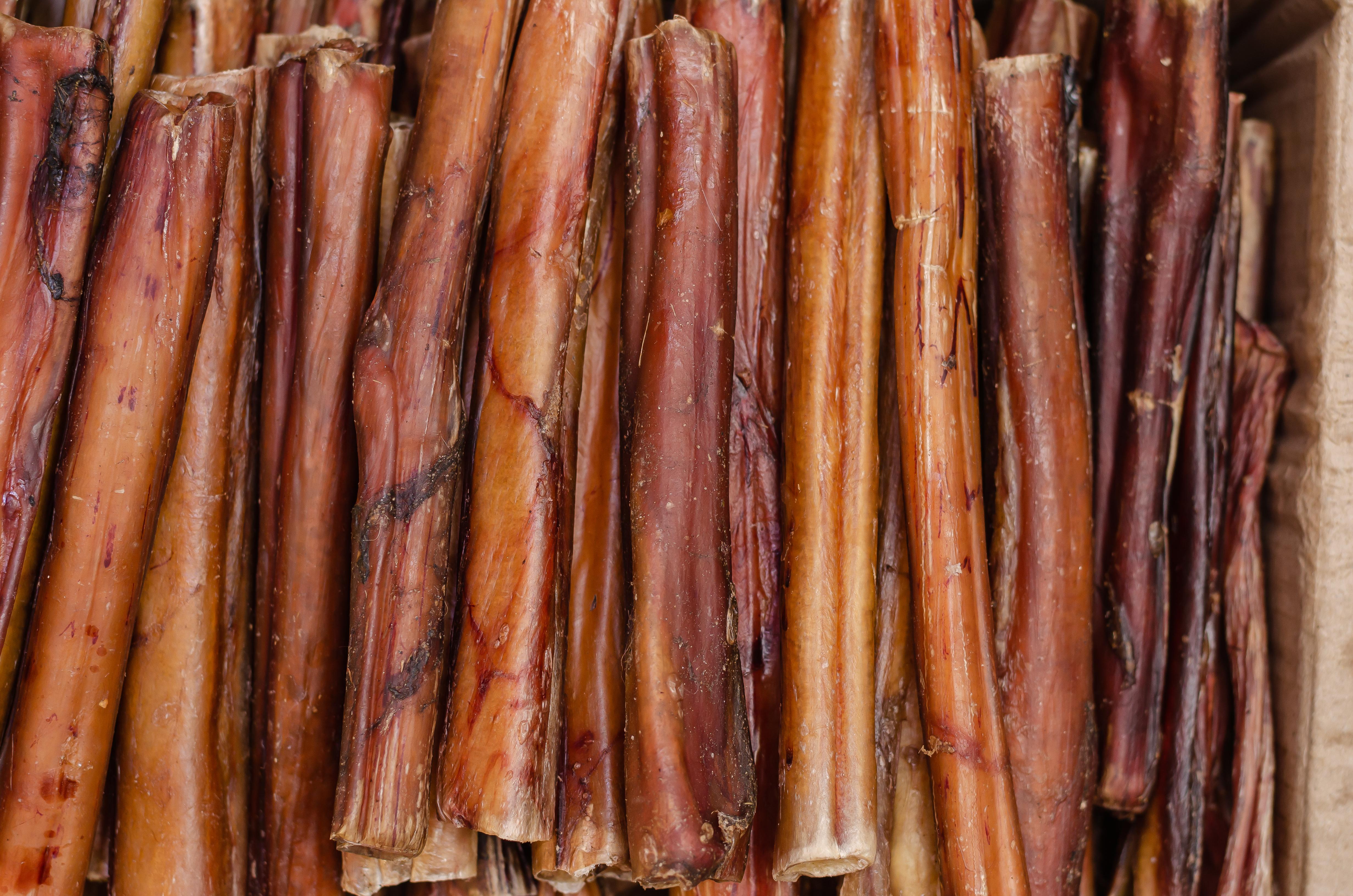 Are bully sticks mentally stimulating? - Bully Sticks Direct