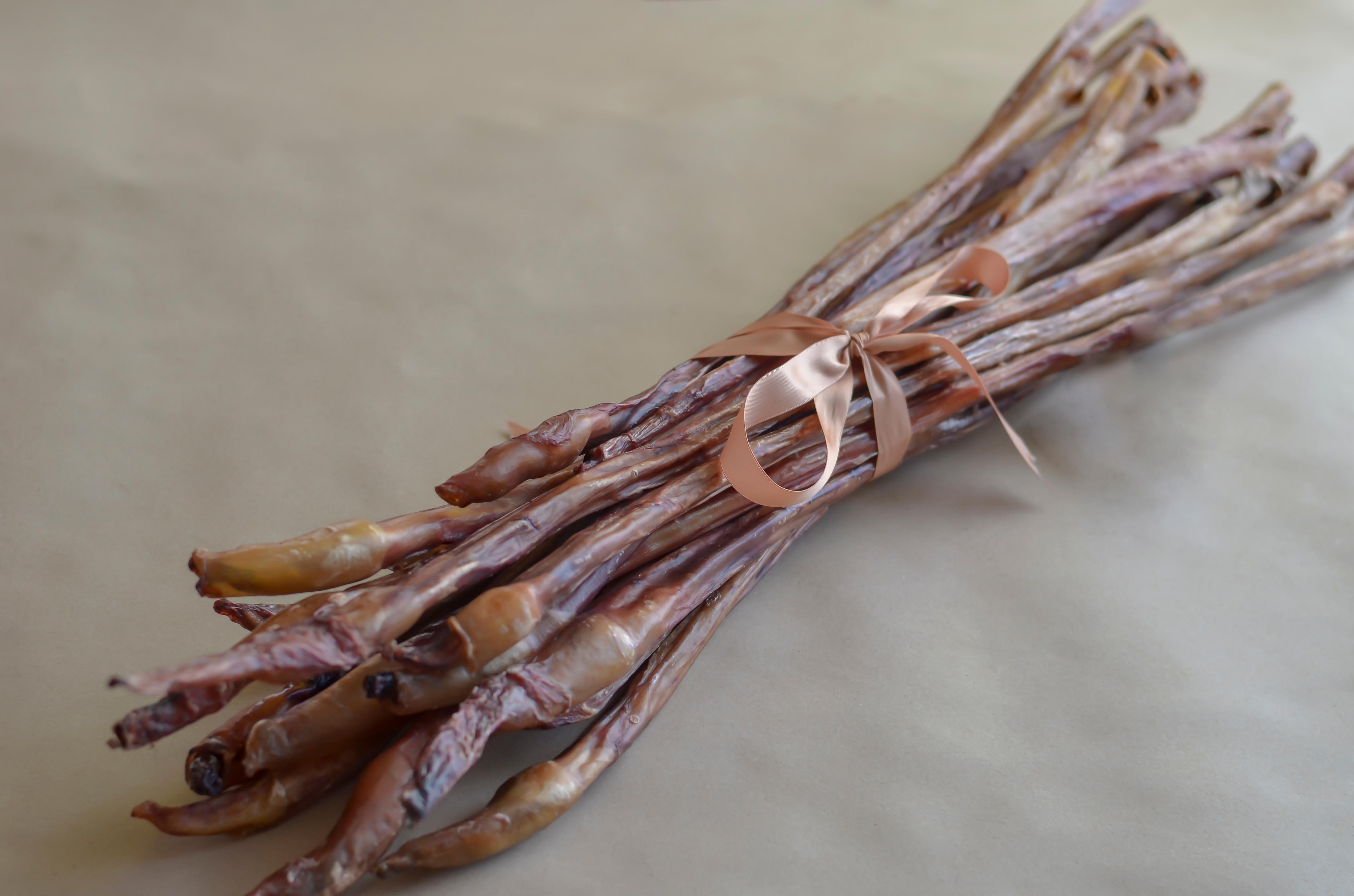 Where to Buy Bully Sticks for Dogs? - Bully Sticks Direct