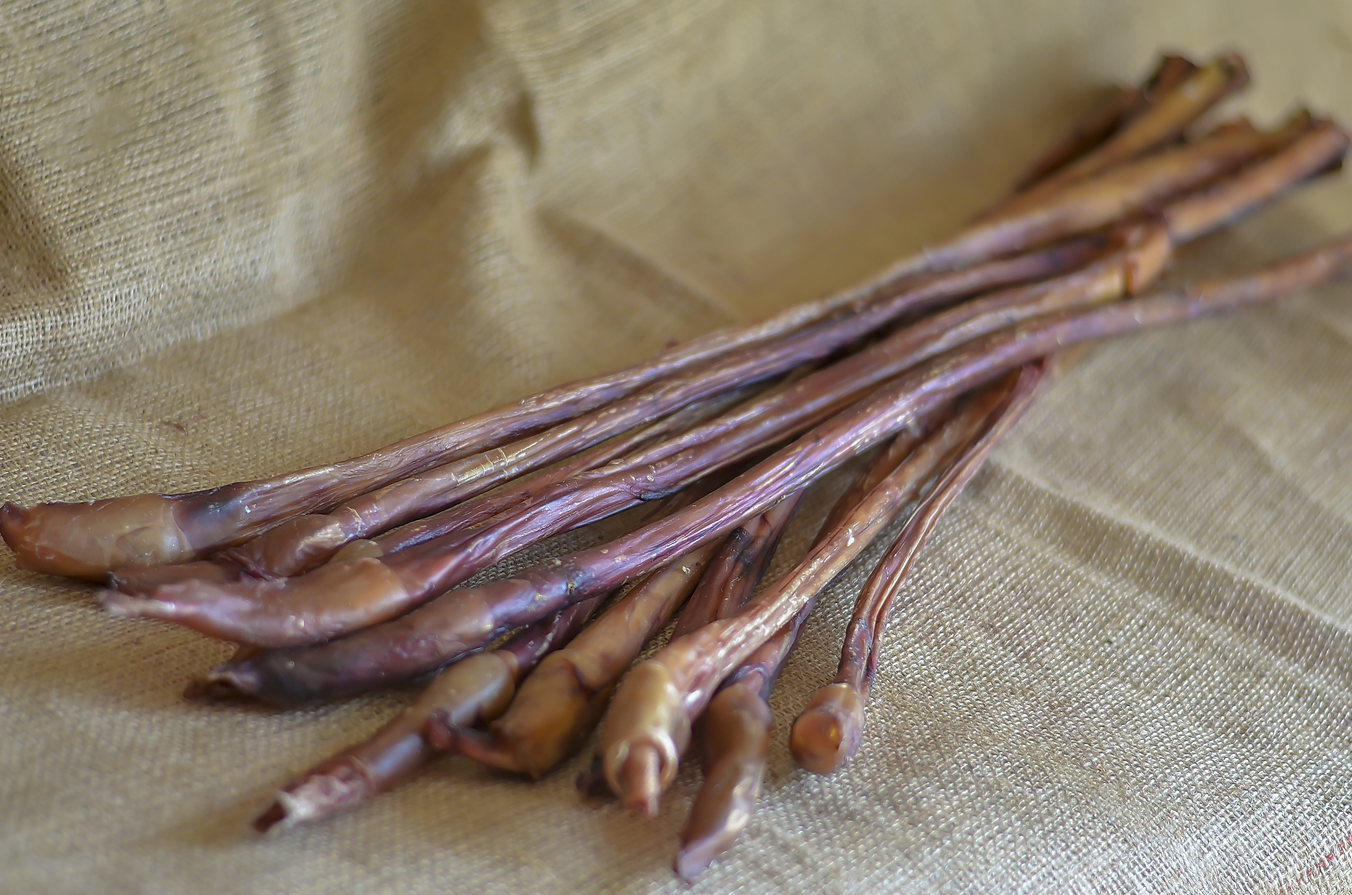 The Best Big Bully Sticks for Strong Chewers: A Must-Have Guide - Bully ...