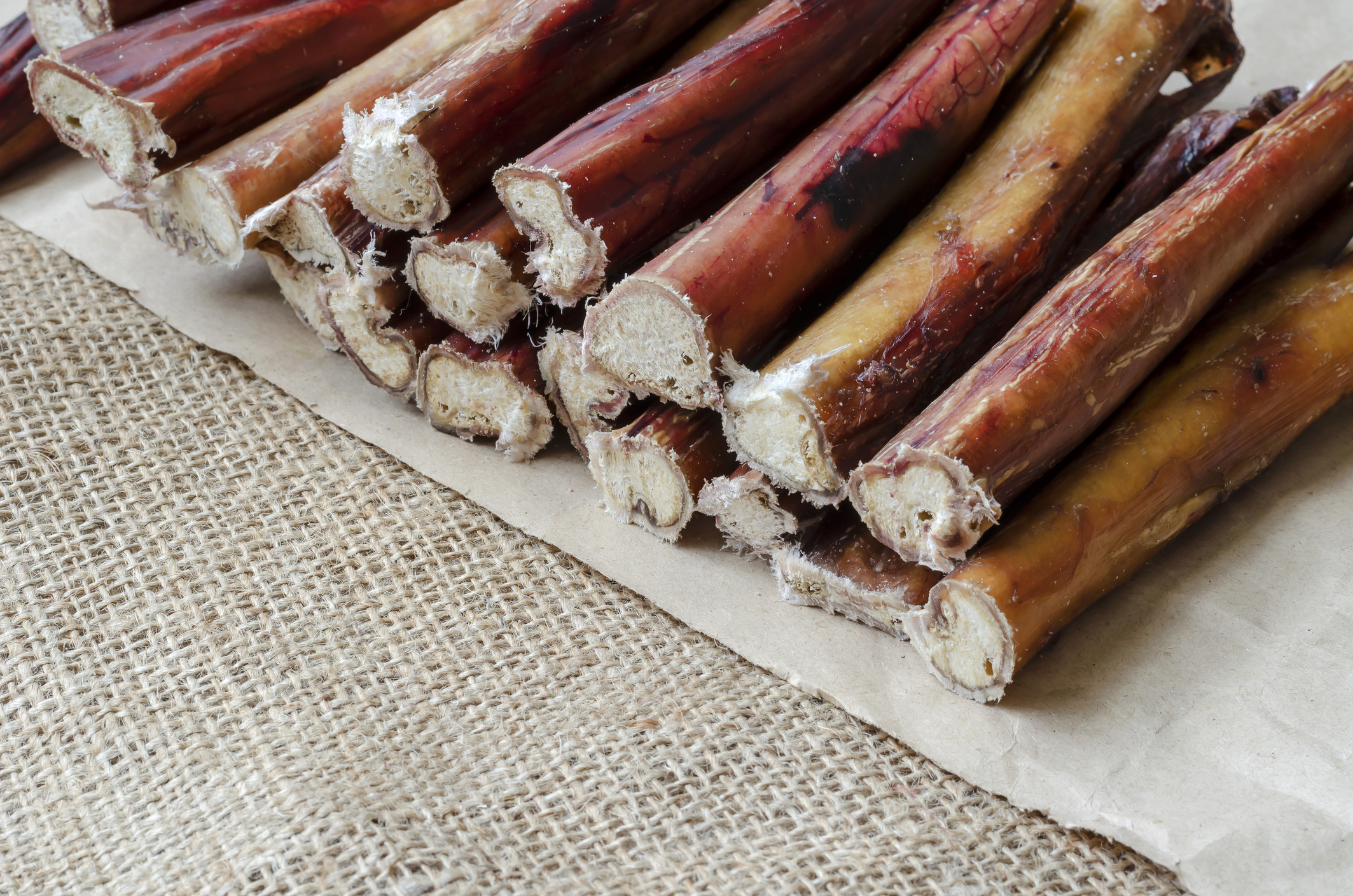 Who Has the Cheapest Bully Sticks for Dogs: A No Fluff Guide - Bully ...