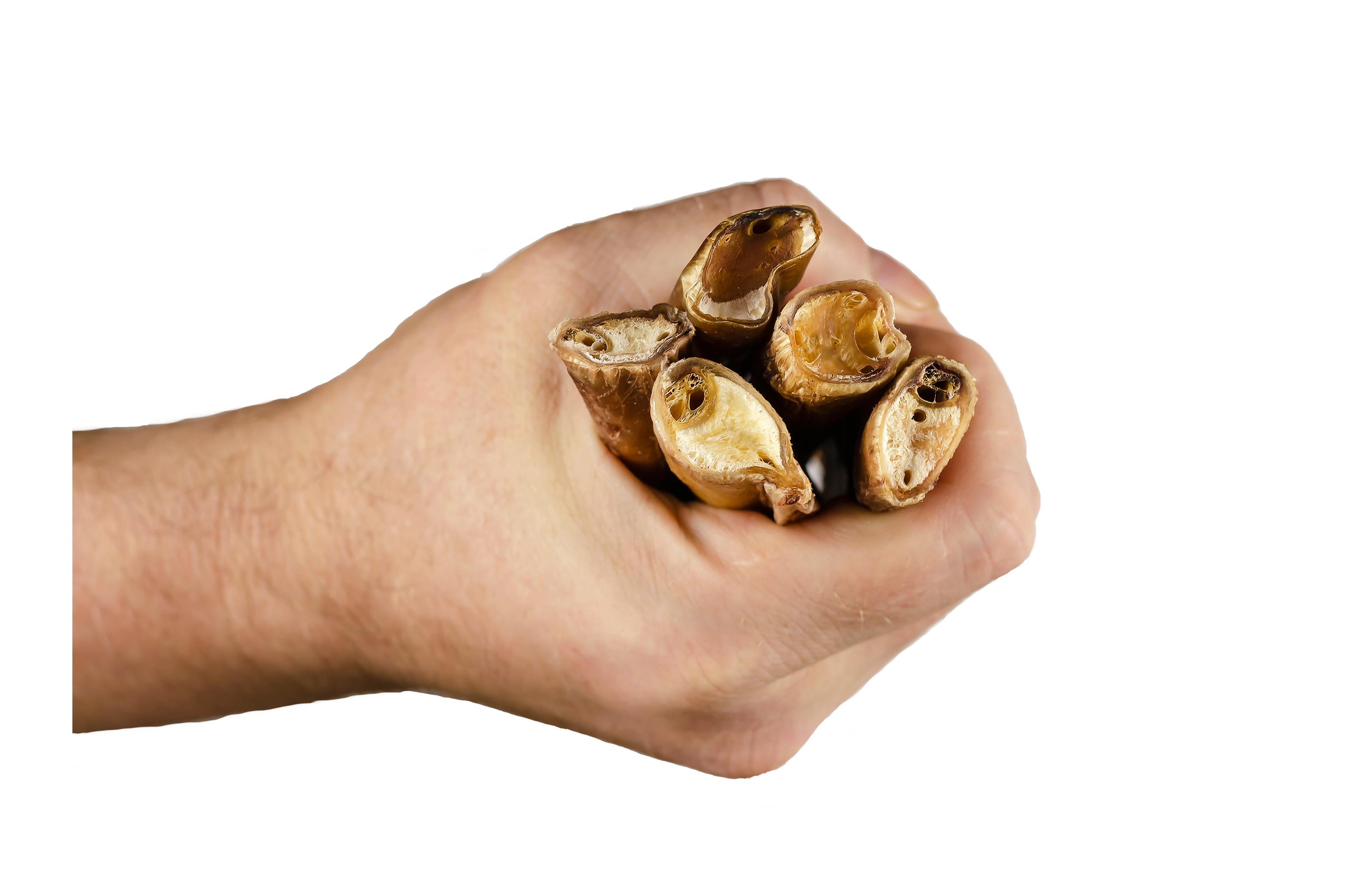 Top Benefits of Bully Sticks for Your Dog's Health and Happiness ...