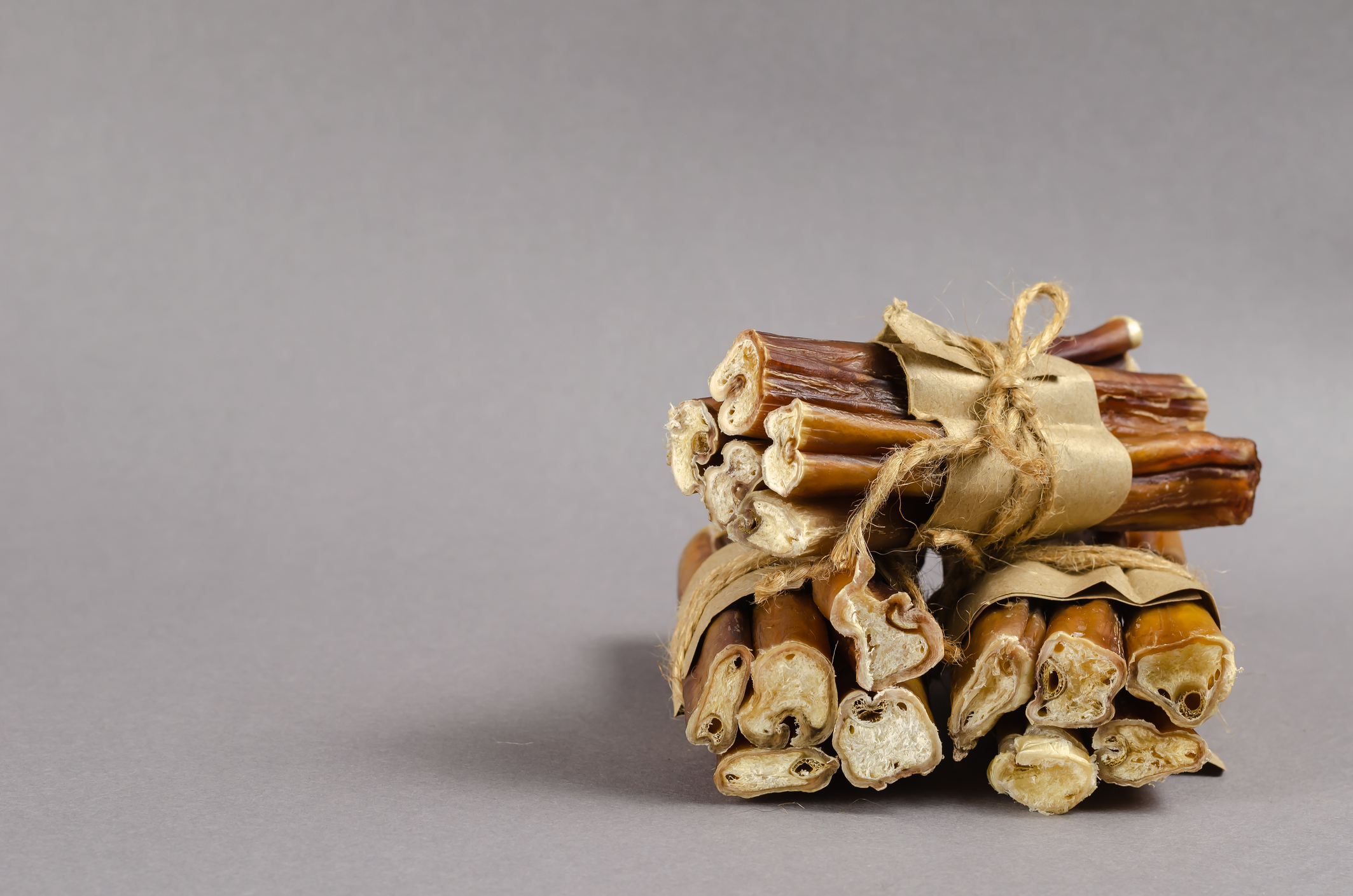 Bully Sticks for Dogs: The Complete FAQ on Safety, Benefits, & Chewing ...