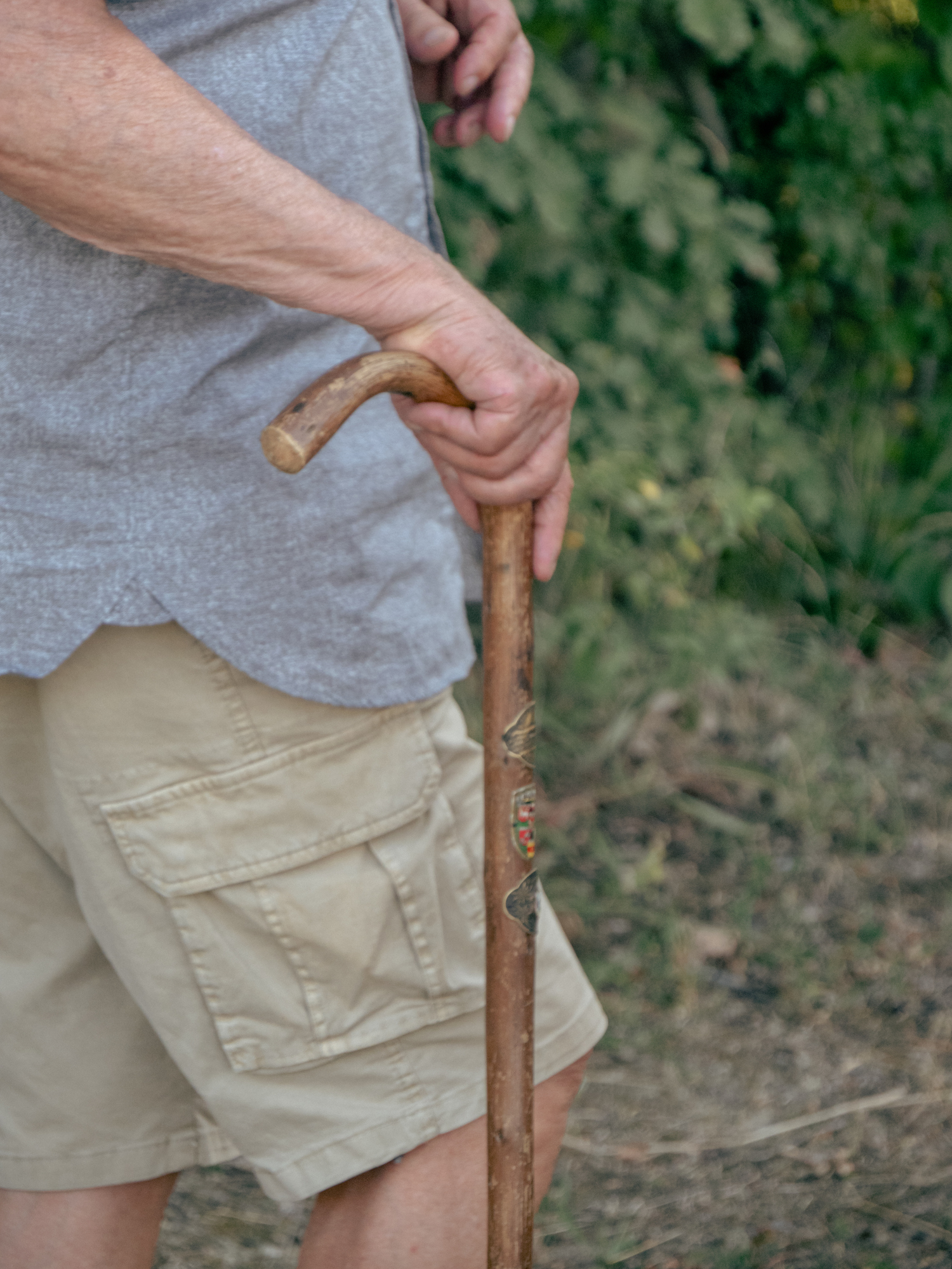 Discover the Best Bull Pizzle Walking Stick: Unique and Stylish Canes ...