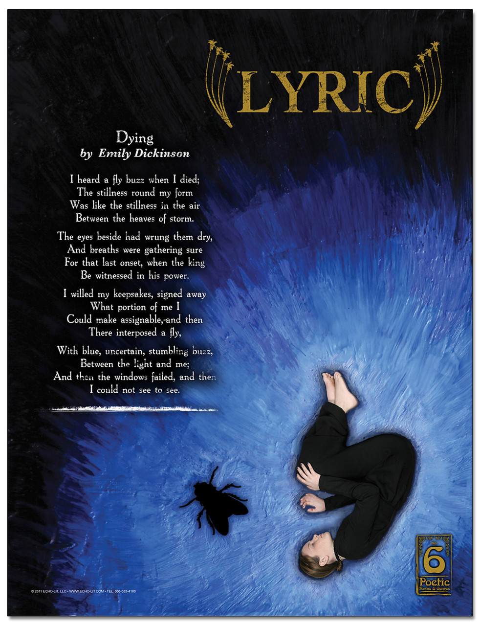 Lyric - Educational Poetry Poster. Literary Art Print. - Echo-Lit