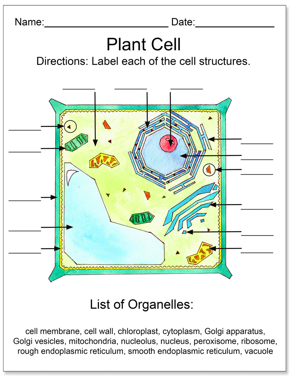 Plant Cell Cellular Structure Classroom Poster. - Echo-Lit