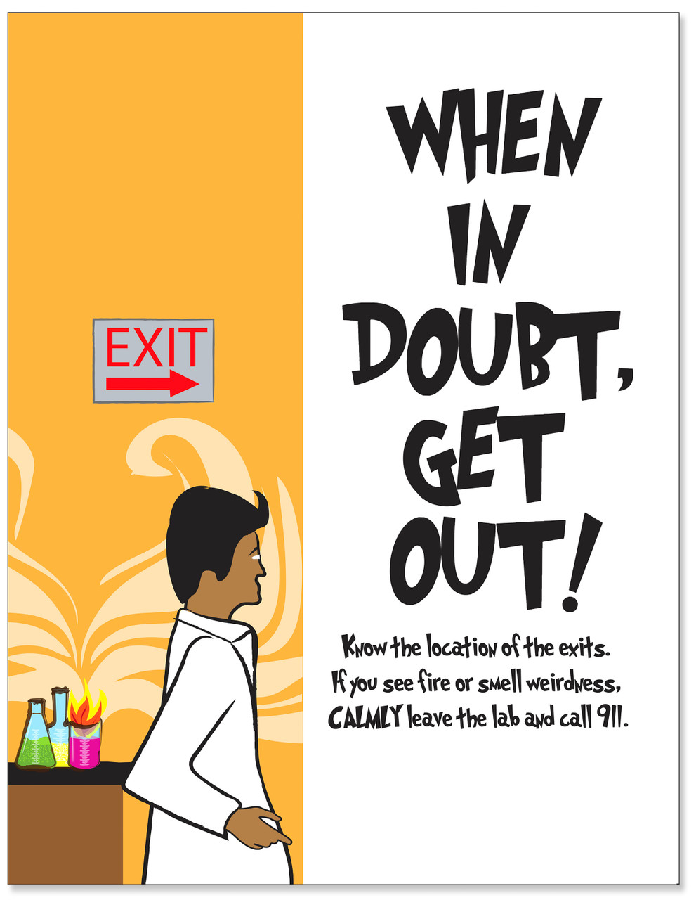 When in Doubt Lab Safety Poster. - Echo-Lit