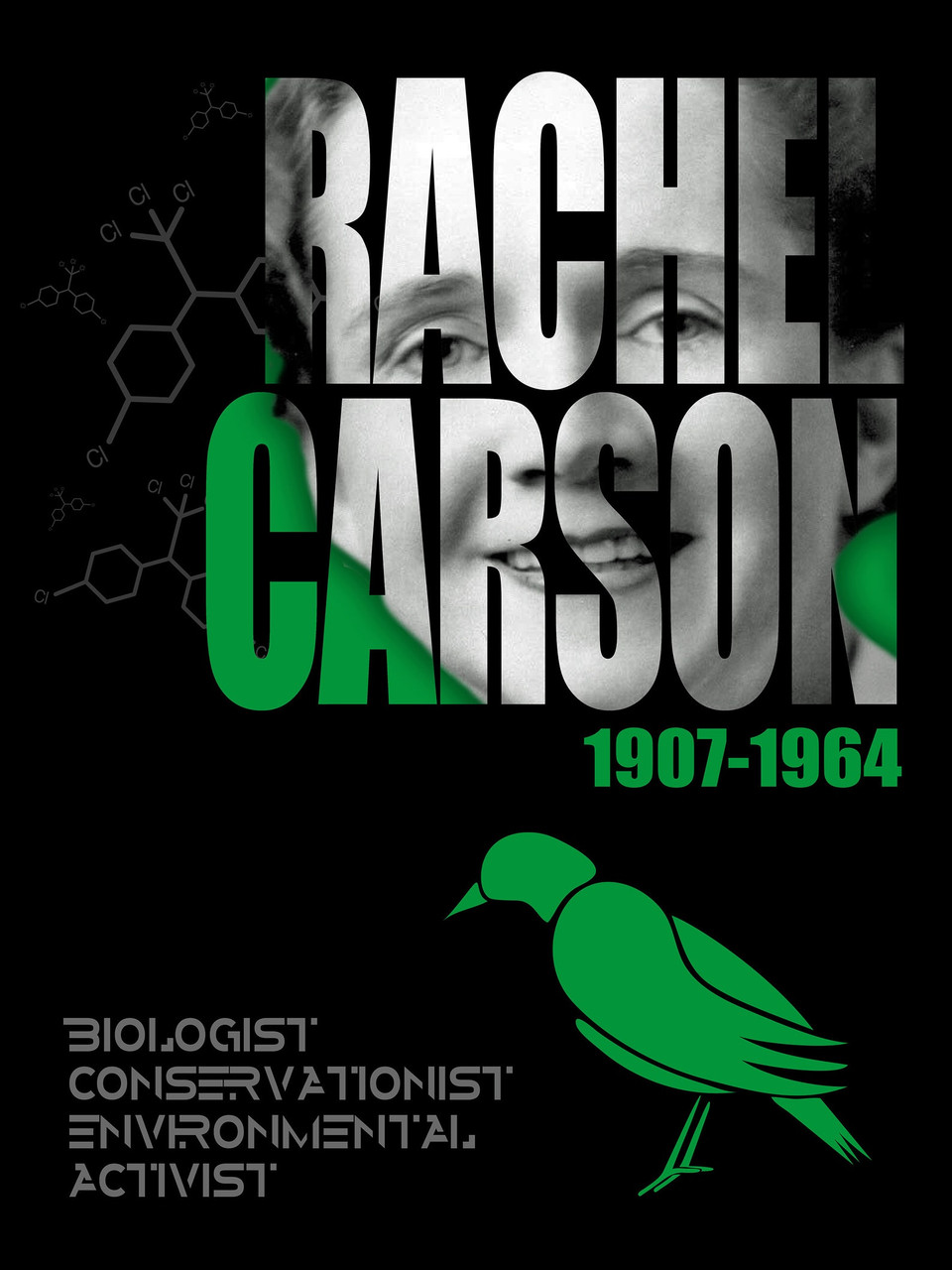 Rachel Carson Important Scientists STEM Art Print. Multiple Sizes and ...