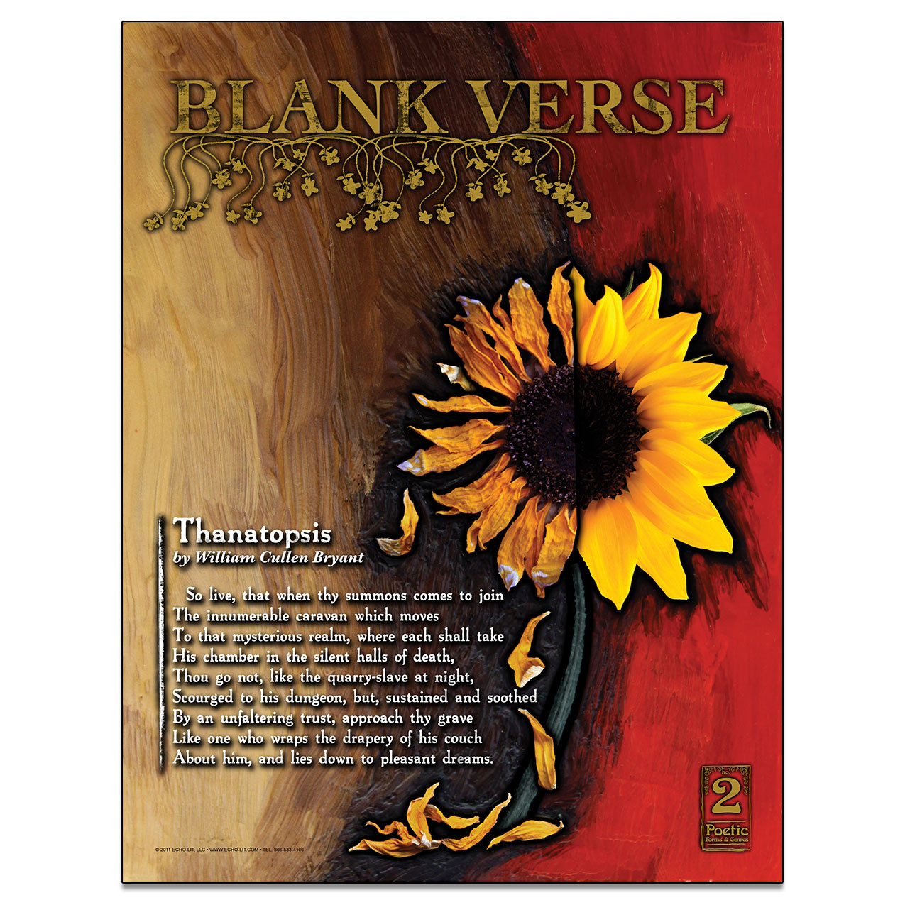 Poetry Forms and Genres Literary 10 Poster Set of 10 DIGITAL DOWNLOAD ...