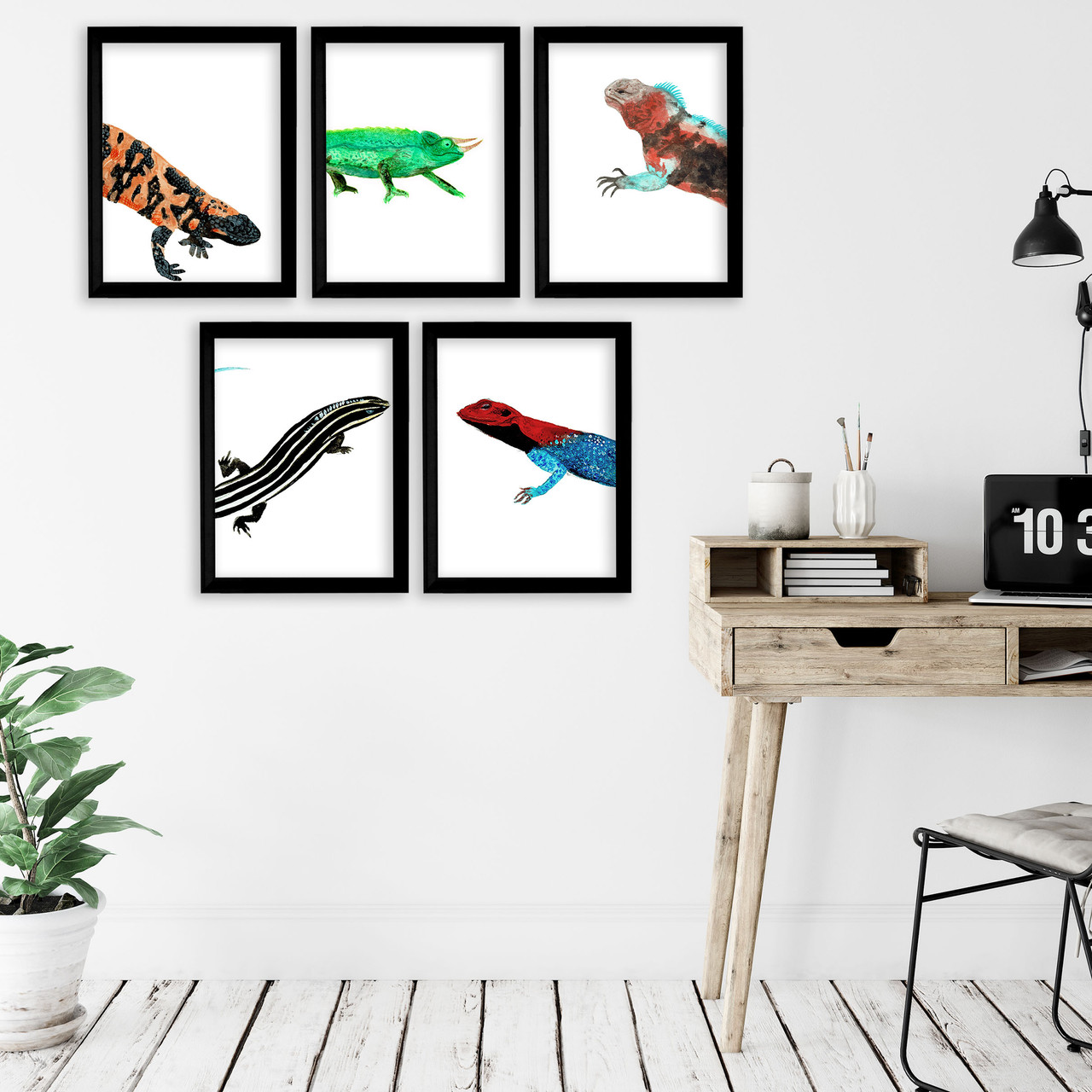 Lizards Gallery Wall Elementary and Middle School Scientific Classroom ...