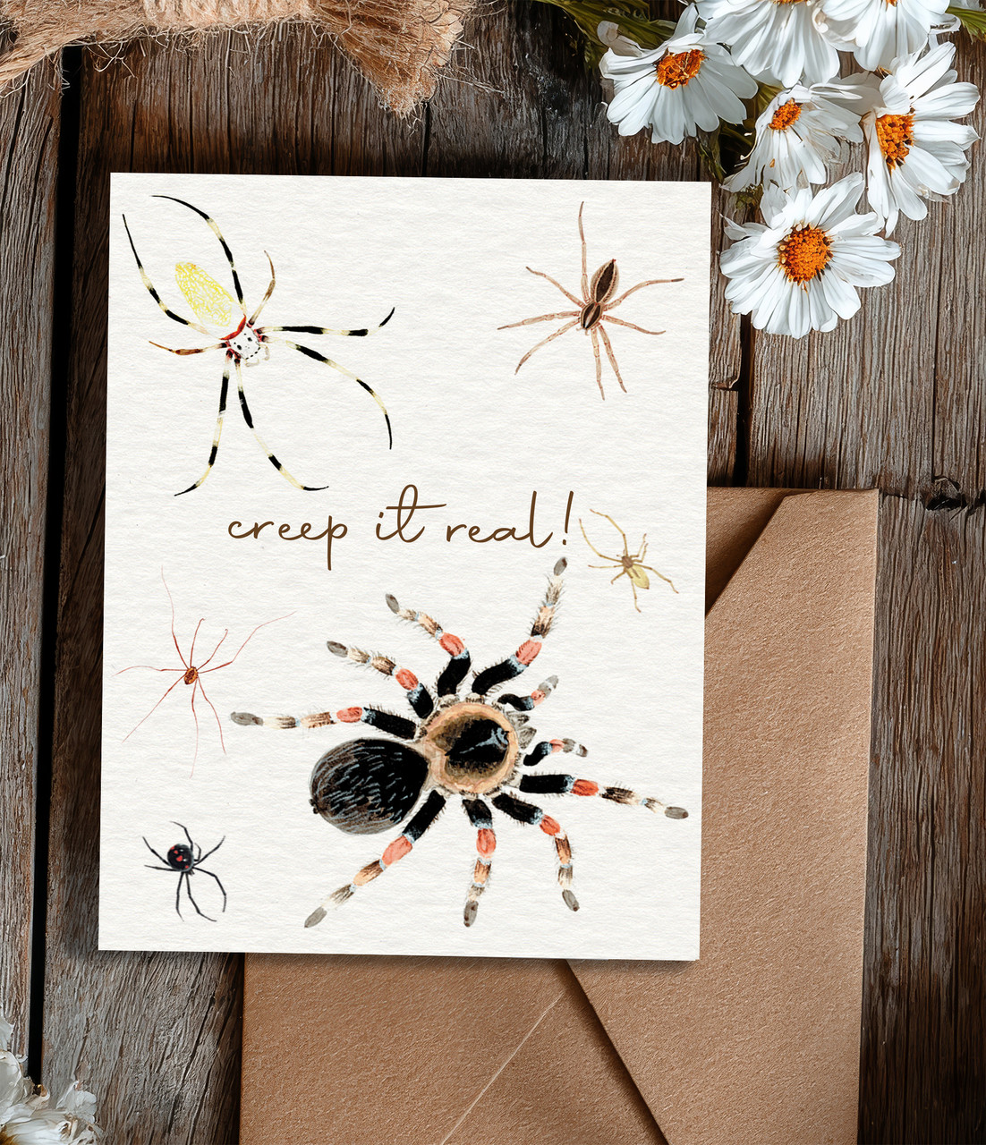 Creep it Real Spider Happy Birthday Card - Single or 8 Pack - Echo-Lit