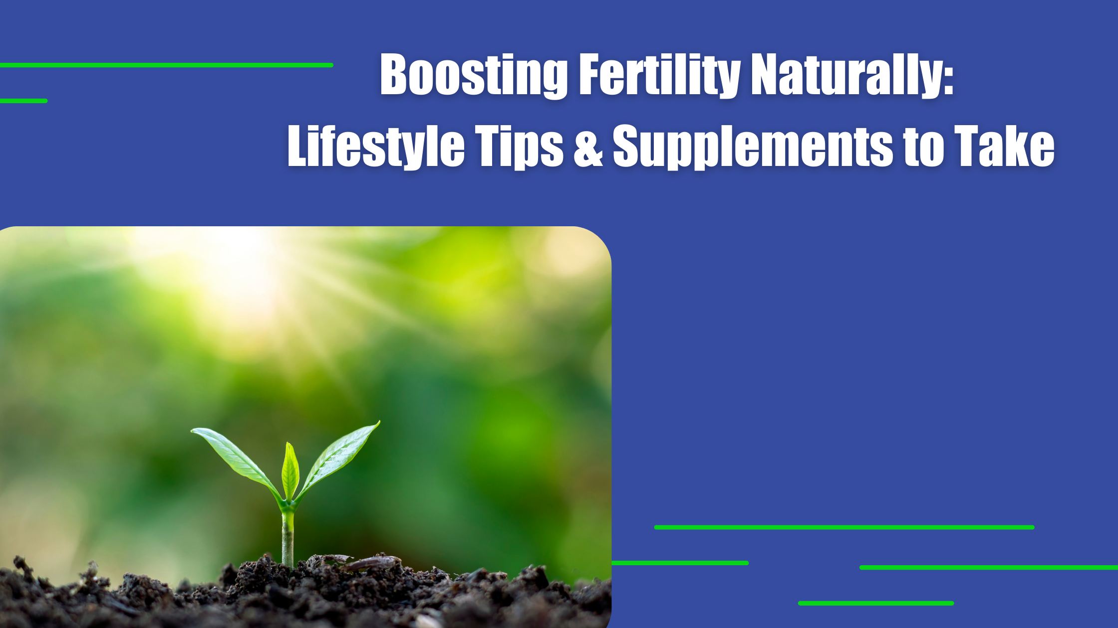 Boosting Fertility Naturally: Lifestyle Tips & Supplements to Take ...