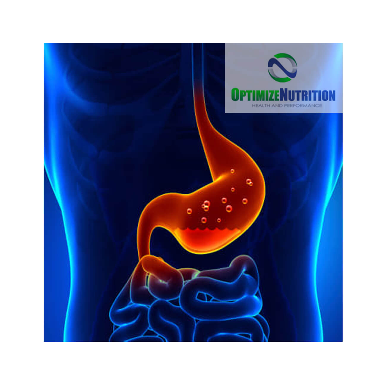 REBALANCE YOUR DIGESTION, IMPROVE YOUR QUALITY OF LIFE - Optimize Nutrition