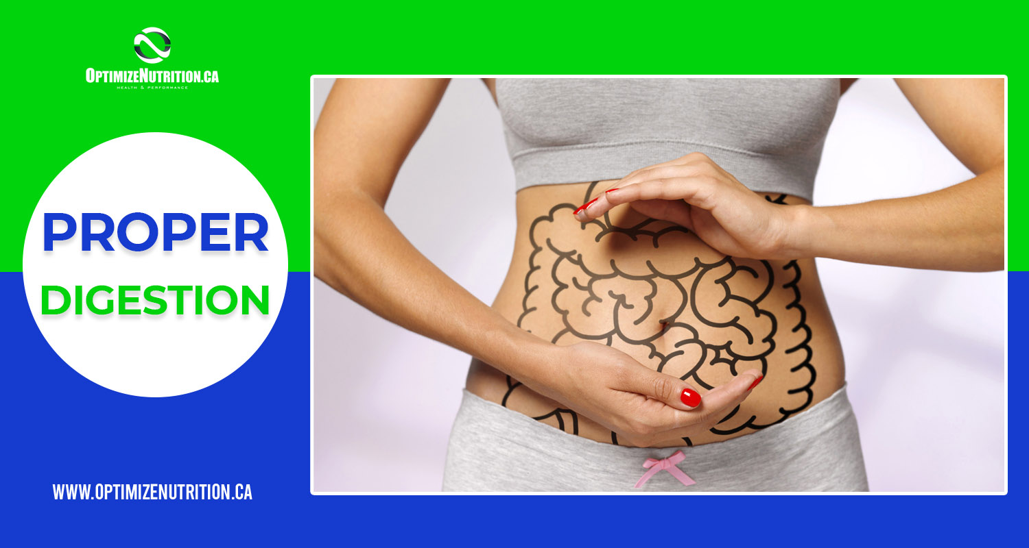 Optimize your Digestion - Optimize Nutrition