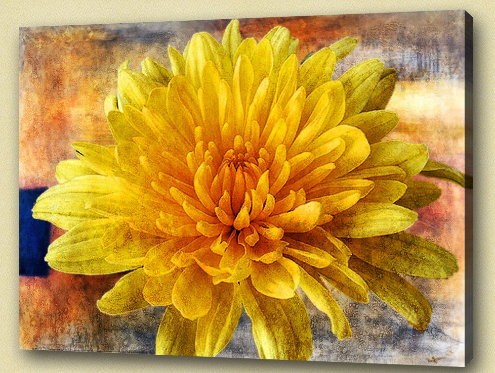 Buy Yellow Mums by Community Artists Group@ Rs. 9990. Code ...