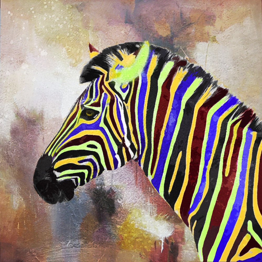 Buy A Zebra 4 by Community Artists Group@ Rs. 4990. Code:31Zebra10_2424 ...