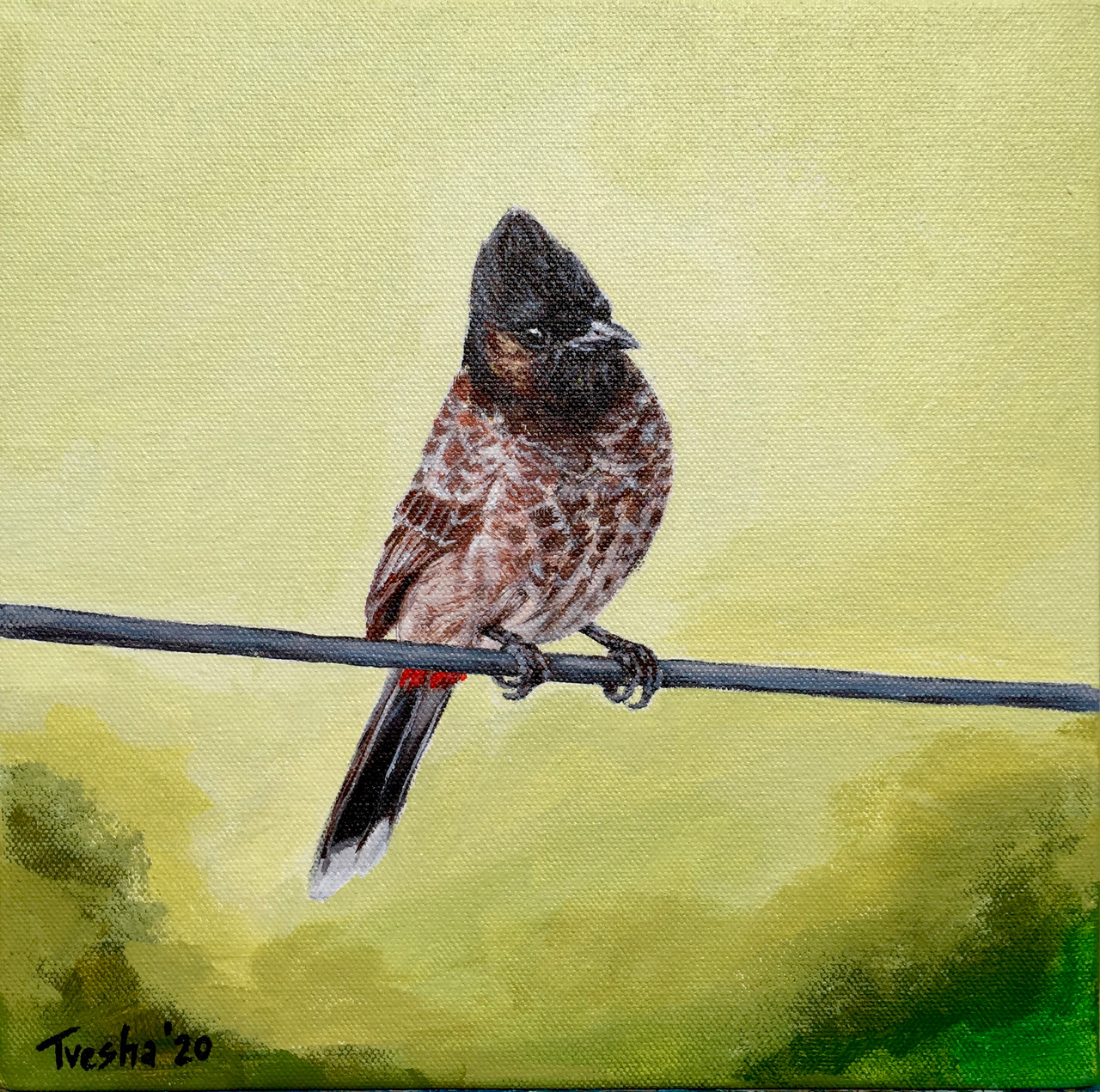 Buy Red Vented Bulbul Balances on a Cable Handmade Painting by TVESHA ...