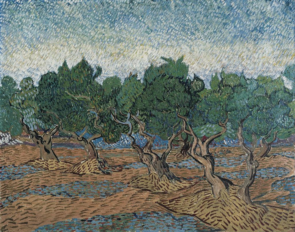 Shop Olive Grove By Vincent Van Gogh (PRT_8441) - Canvas Art Print ...