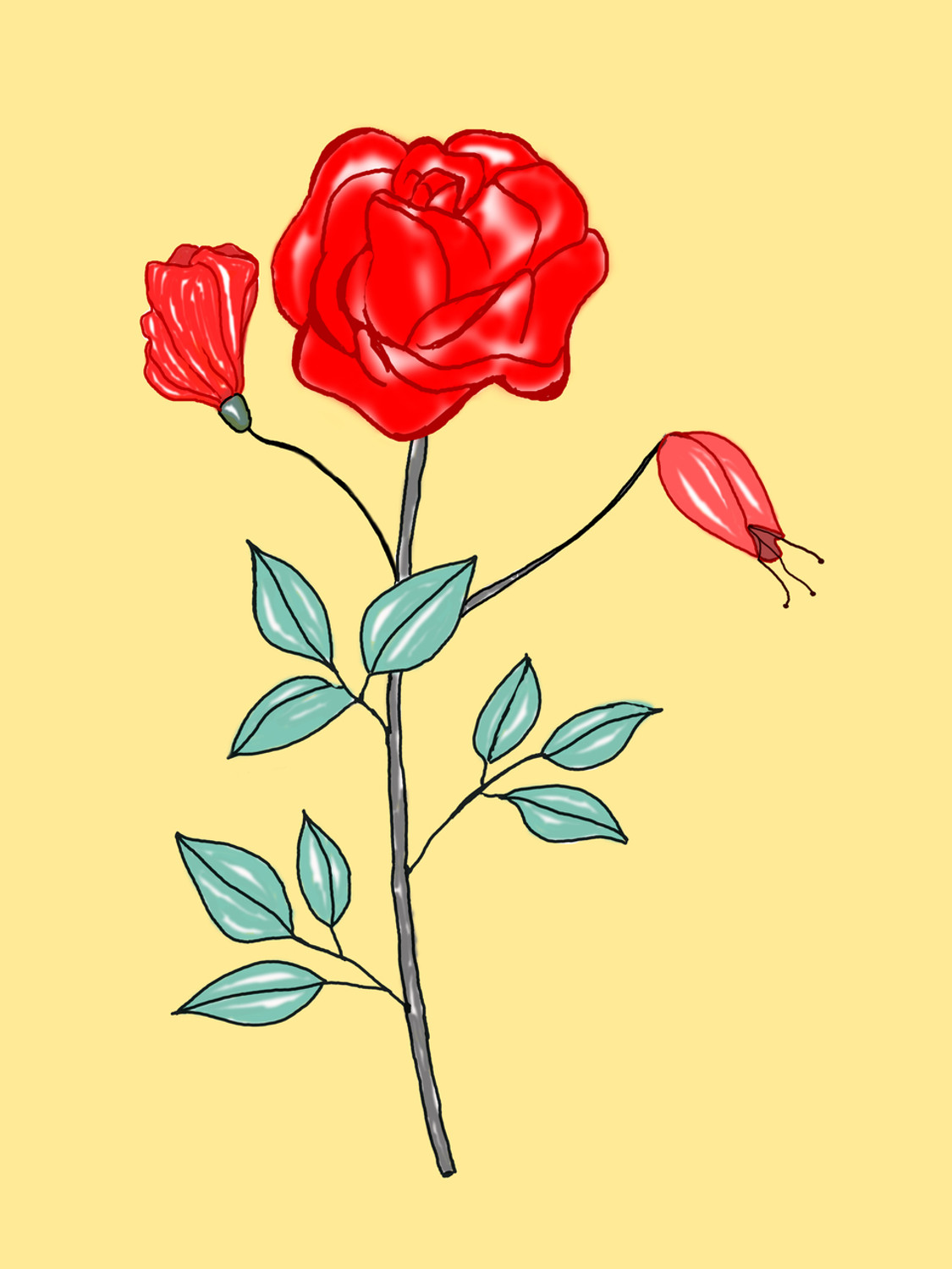 how to draw rose on canvas