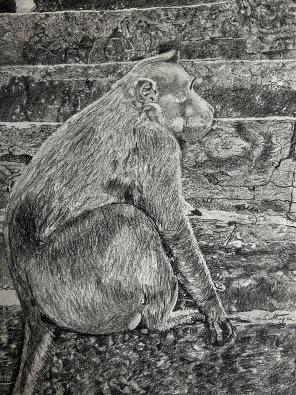 monkey drawing realistic