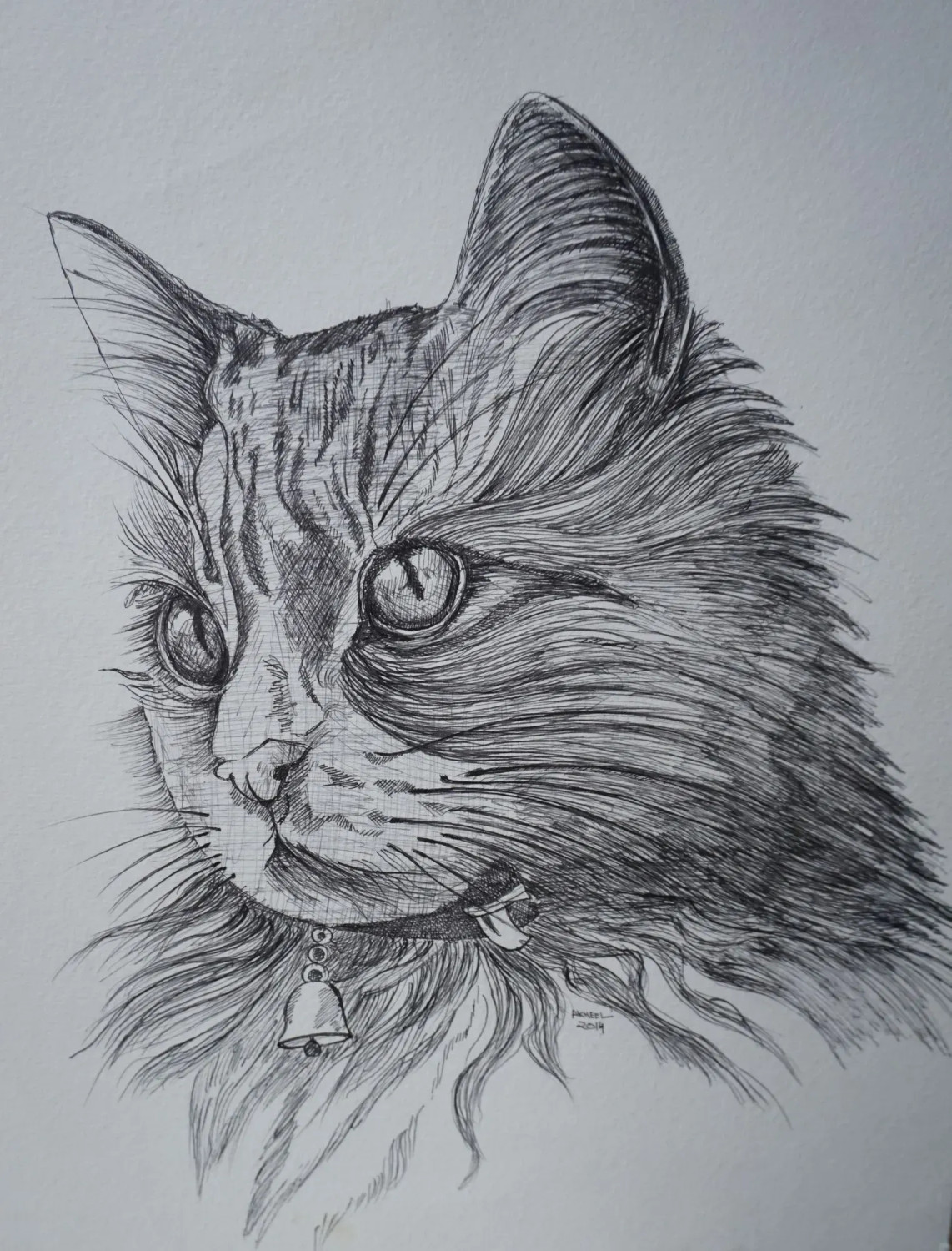 Cat Portrait Sketch