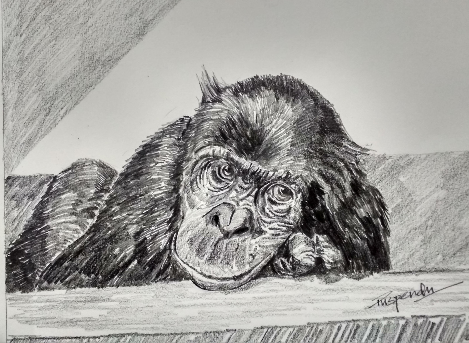 Buy Sad Ape Handmade Painting by PUSPENDU ROY KARMAKAR. Code:ART_776 ...