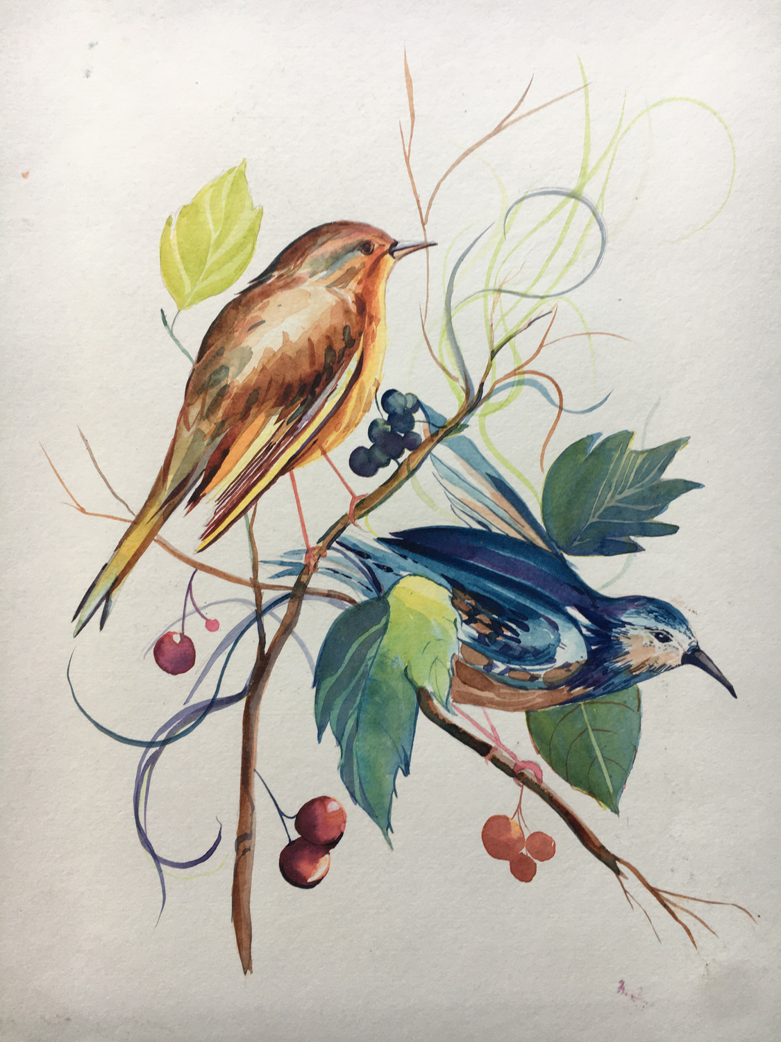Birds Painting Watercolor