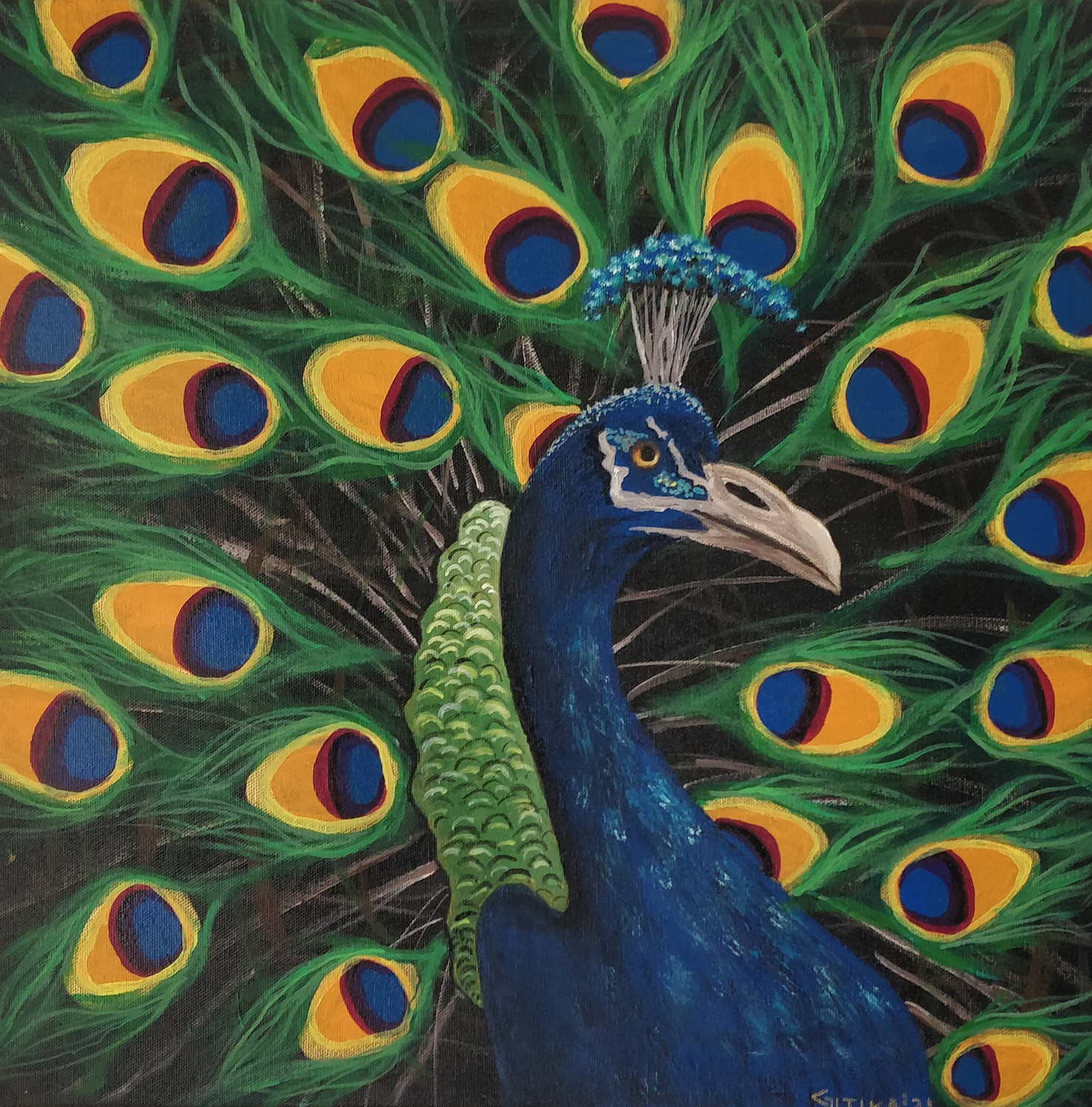 how to draw peacock figure