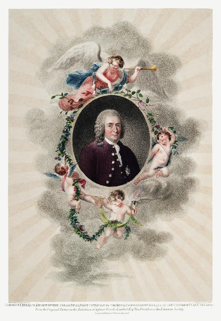 Shop The Portrait Of Carl Linnaeus From The Temple Of Flora (1807) (PRT ...