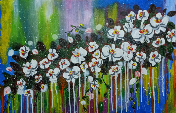 ANANYA NIYOGI Products - Fizdi.com