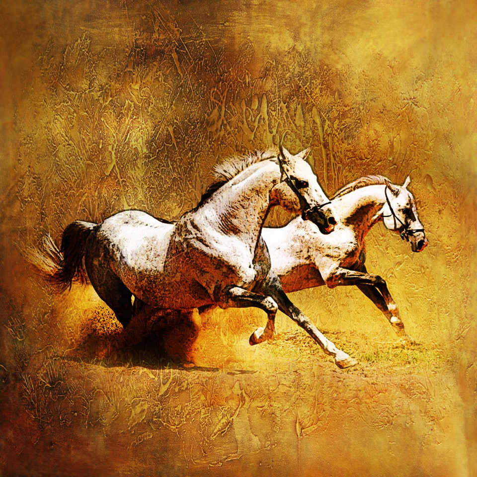 Buy 25horse02 - Realistic, Textured, Bold Painting Online | Fizdi
