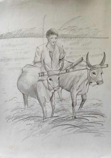 Buy The Fermars - Realistic Sketch Painting Online | Fizdi