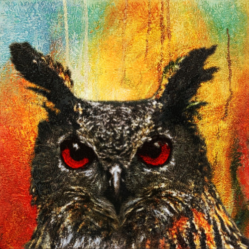 Buy Red Eye Owl - Abstract, Textured, Bold Painting Online | Fizdi