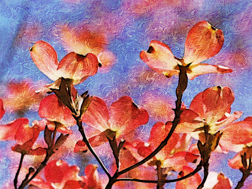 Buy Floral Trio 4 - Abstract Floral Art Painting Online | Fizdi