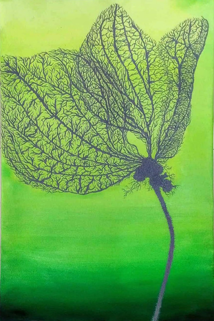 Buy Skeleton Flower - Botanical, Abstract, Nature Painting Online | Fizdi