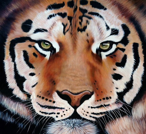 Buy The Wild Look - Realism, Wildlife Painting Online | Fizdi
