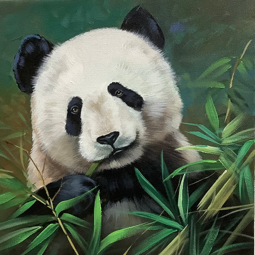 Buy The Giant Panda - Realism, Nature, Wildlife Painting Online | Fizdi