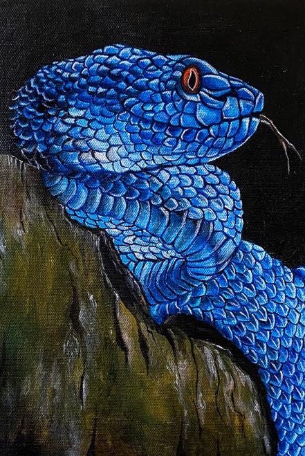 Buy Nature s trap- realistic snake in acrylic Handmade Painting by ...