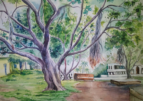 Buy Banyan Tree by Santosh Loni@ Rs. 3590. Code:ART_SHLI17_1412 - Shop ...