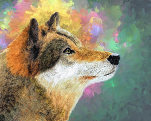 Buy Dogs Abstract - Abstract, Realism Fusion Painting Online | Fizdi