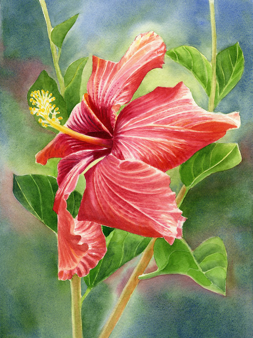 Buy Aster - Realism, Watercolor, Naturalism Painting Online | Fizdi
