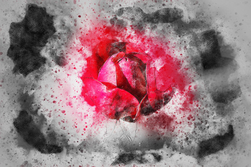 Buy Flower Rose Red Black - Abstract, Modern, Bold Painting Online | Fizdi
